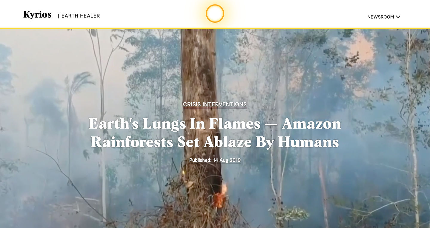 Earth’s Lungs In Flames — Amazon Rainforests Set Ablaze By Humans ...